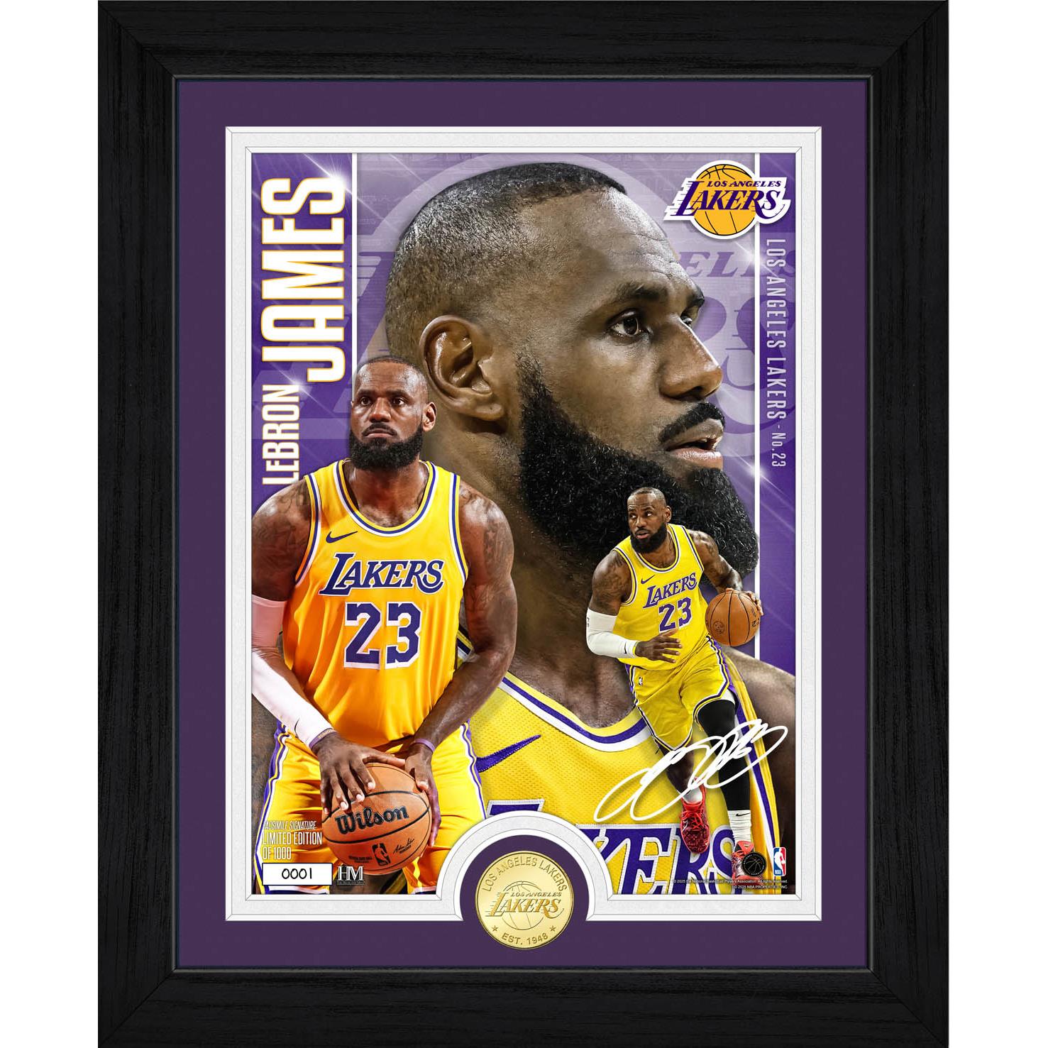 LeBron James Lakers 13"x16" Framed Collectible with Bronze Coin | HSN
