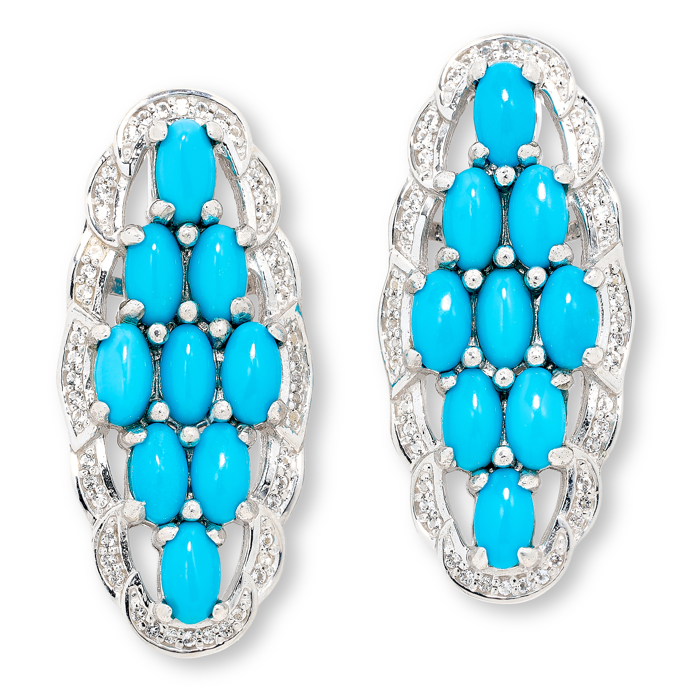 Colleen Lopez Sleeping Beauty Turquoise and Zircon Cluster Earrings | HSN