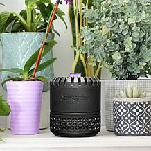 Home Improvement | HSN