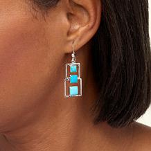 Mine Finds by Jay King Earrings | HSN