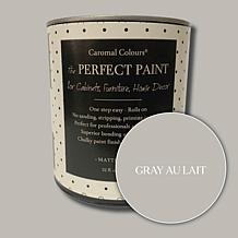 Paint & Adhesives | HSN