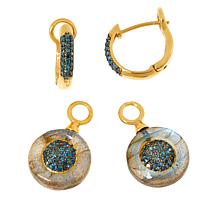 Rarities Fine Jewelry with Carol Brodie Earrings | HSN