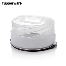 New Kitchen & Food | HSN