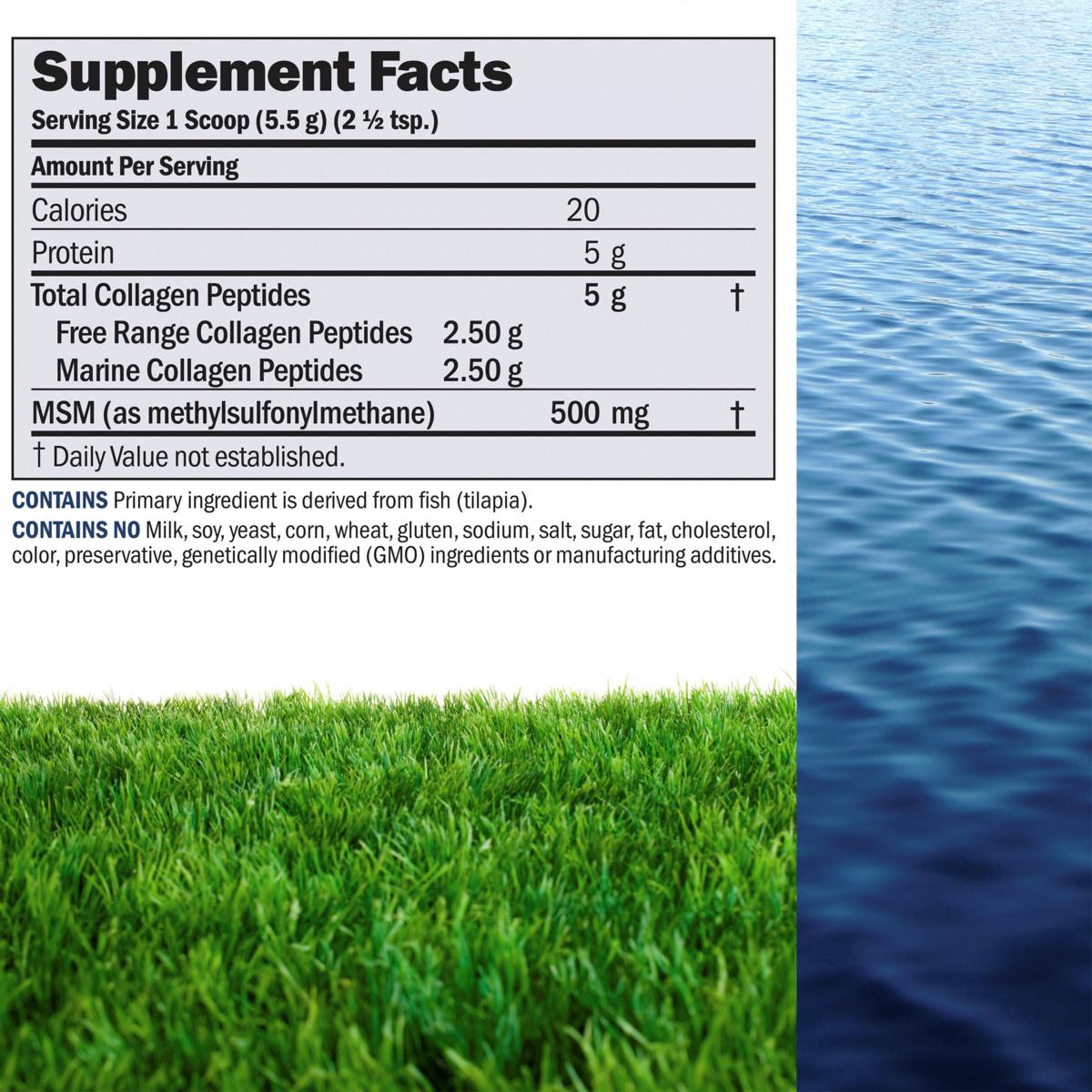 Andrew Lessman Marine and Free Range Collagen Peptides with MSM | HSN