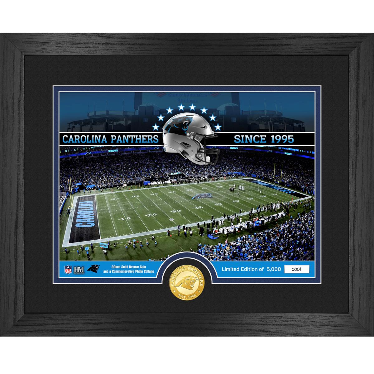 Officially Licensed NFL Super Bowl Stadium Mint Frame - Panthers | HSN