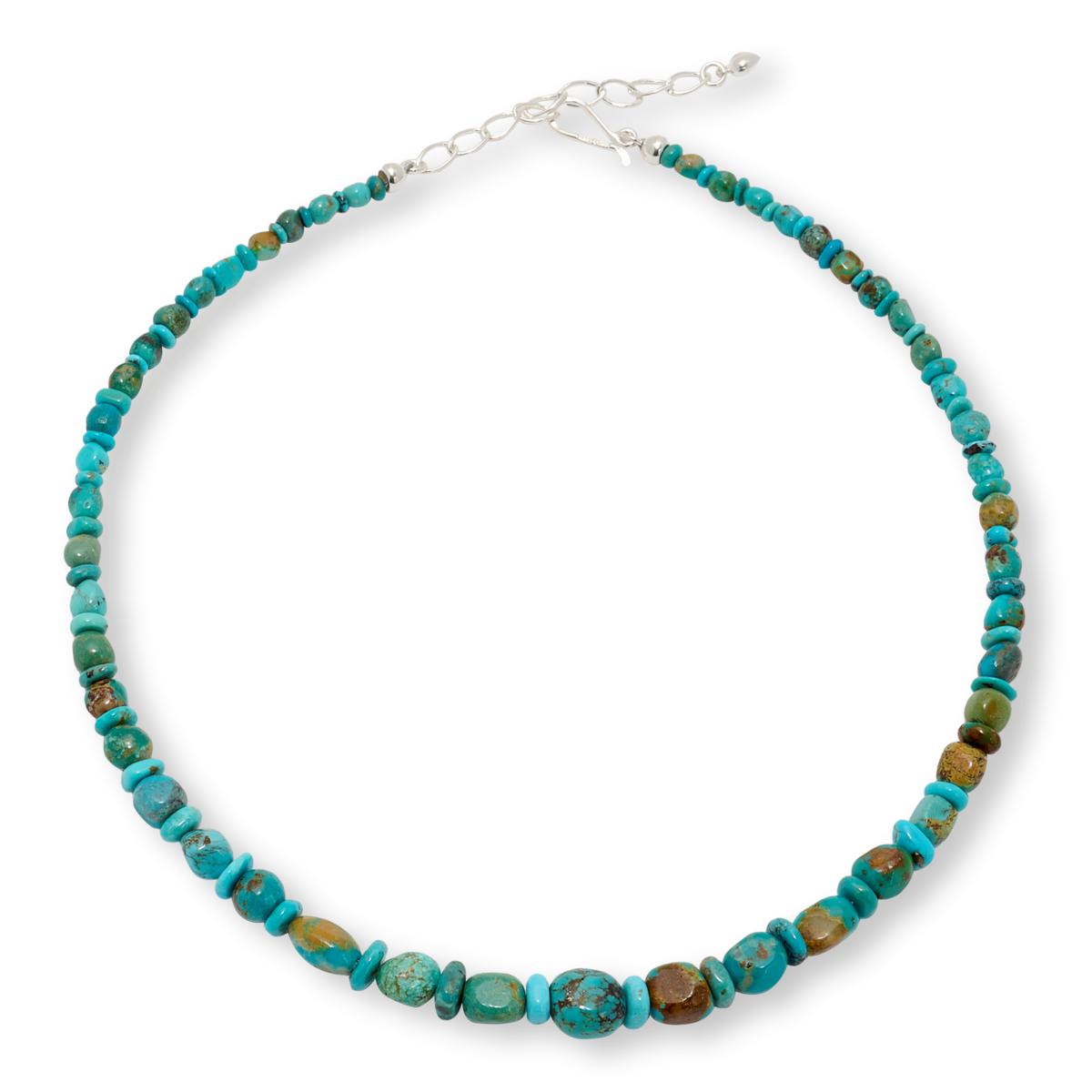 Jay King Armenian Turquoise Bead 18" Necklace | HSN